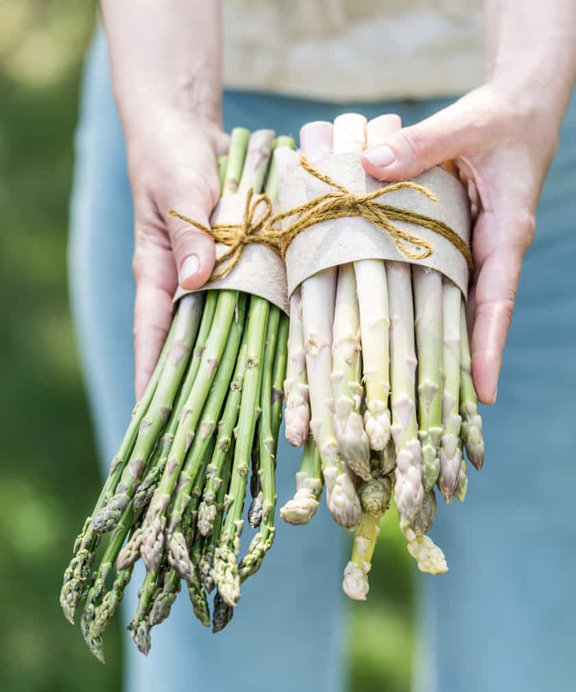 Spargelzeit: German White Asparagus - 31 Daily