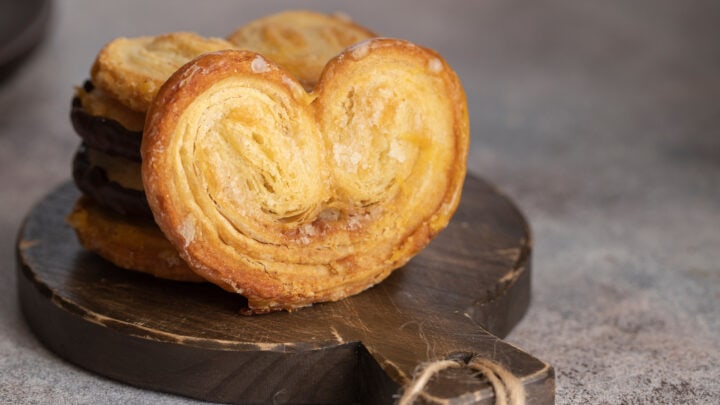 Elephant Ears - 31 Daily
