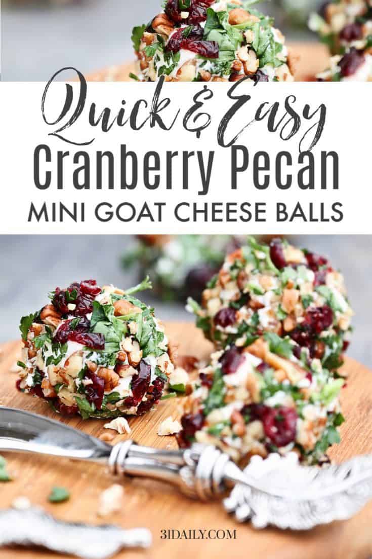 Mini Cranberry Pecan Goat Cheese Balls Appetizer - 31 Daily