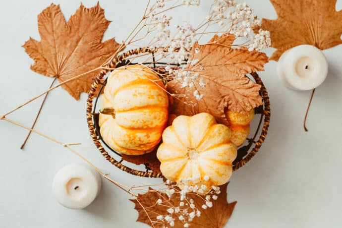Small Thanksgiving Dinner Menu Recipes - 31 Daily