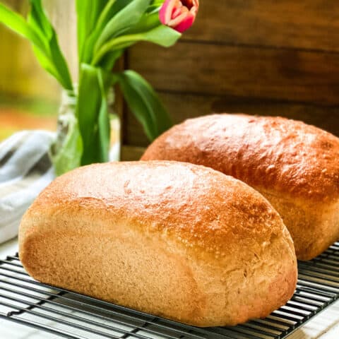 100% Whole Wheat Bread Recipe: Homemade and Delicious - 31 Daily