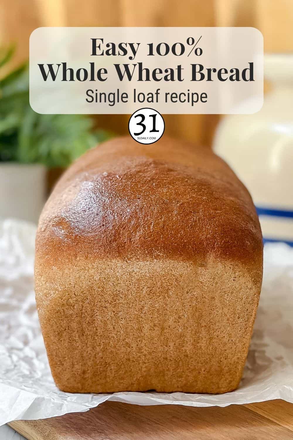 Easy Whole Wheat Bread Recipe - 31 Daily