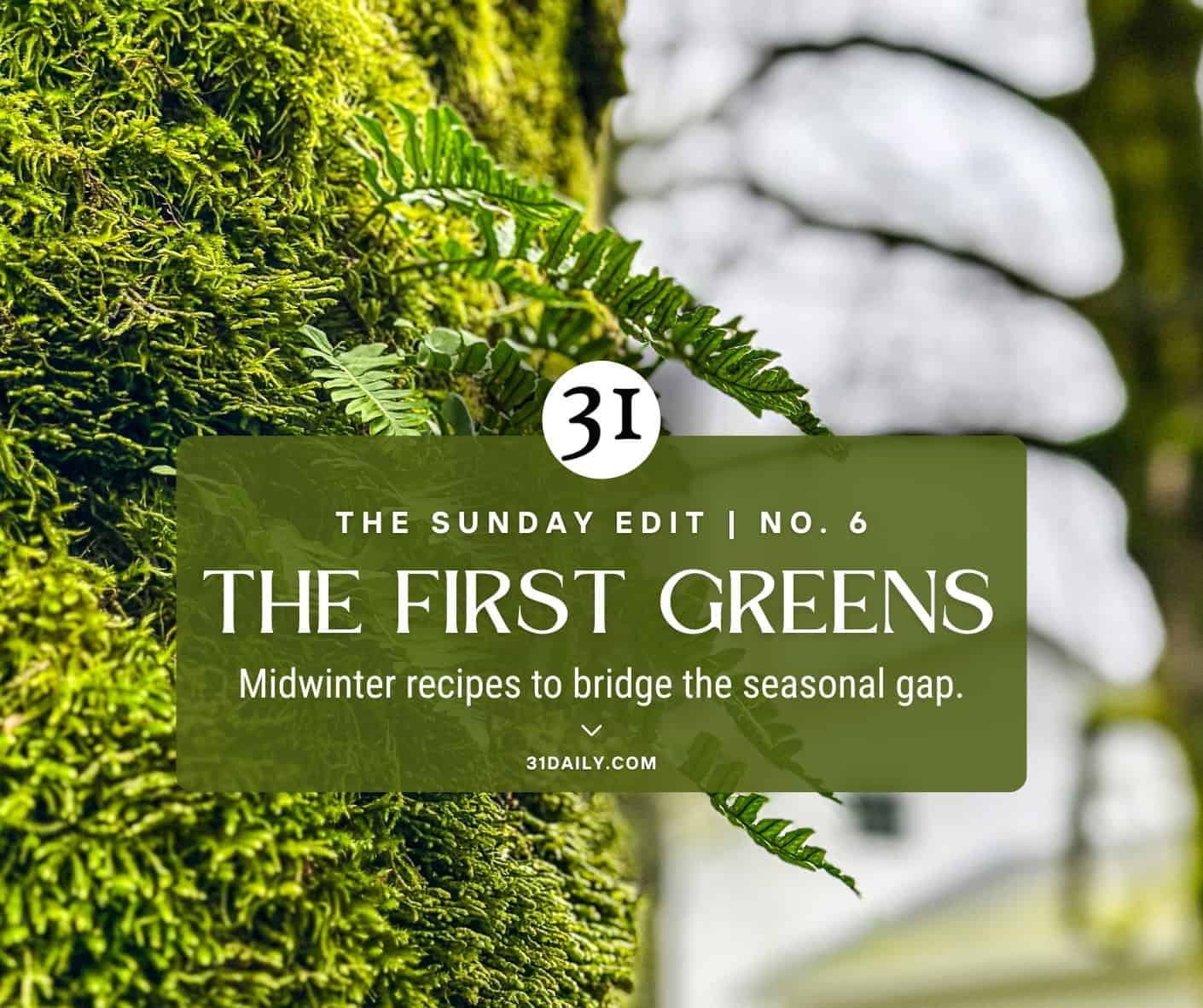 The Sunday Edit No. 6: The First Green | 31 Daily
