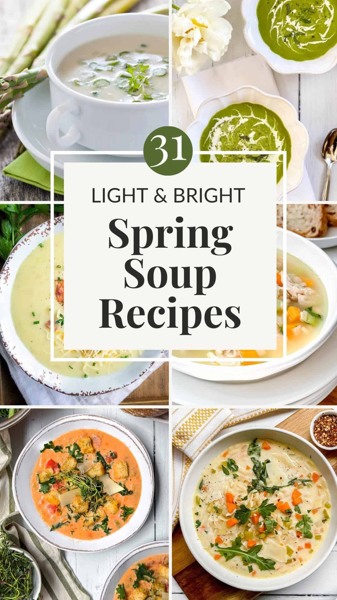 Light and Bright Spring Soup Recipes for Early Spring Meals - 31 Daily
